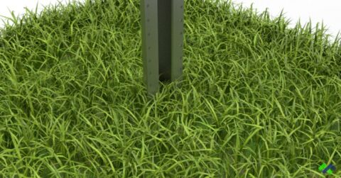 PostMaster Fence Posts - Everything You Need to Know and More